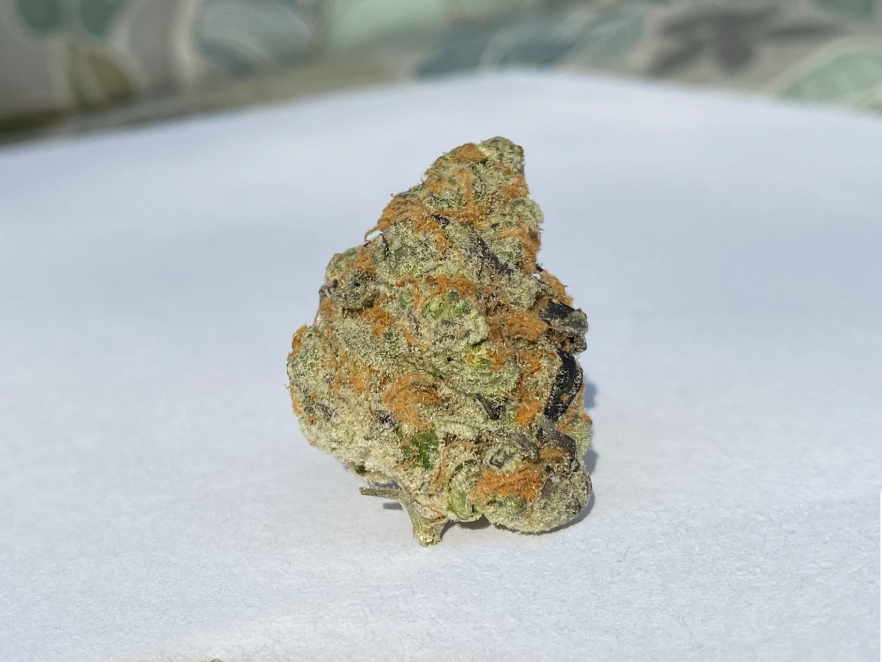 Strain Review - Curio Wizard Punch Flower | Nature’s Care and Wellness